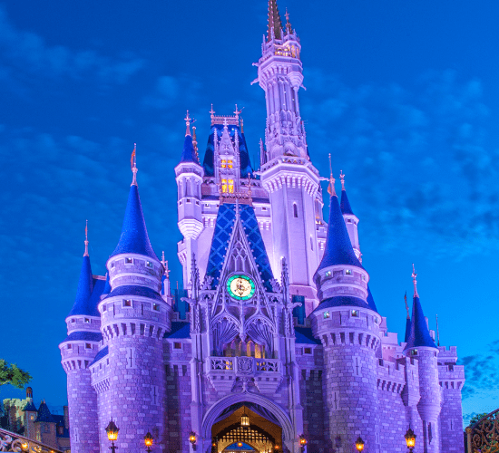 Sharky & Bones Disney Junior Live Show